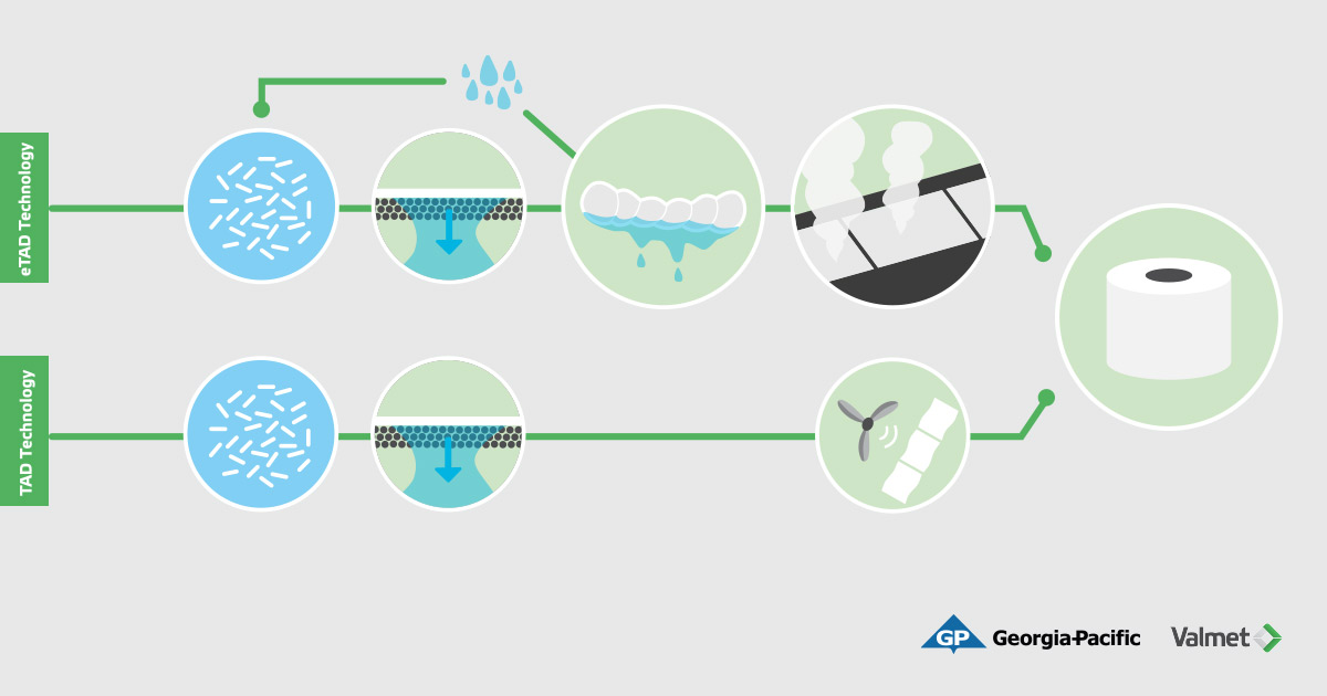 Comparing drying processes in tissue making