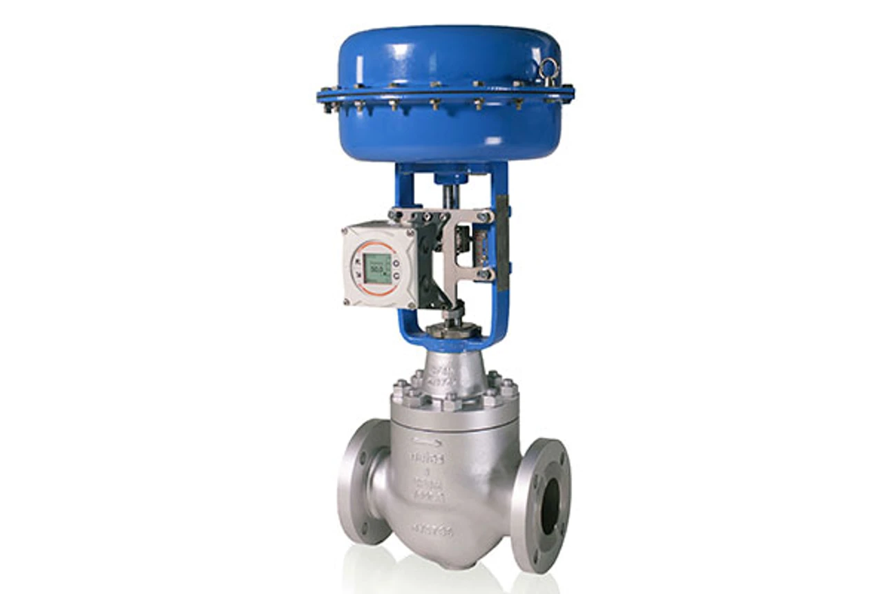 Globe Control Valve