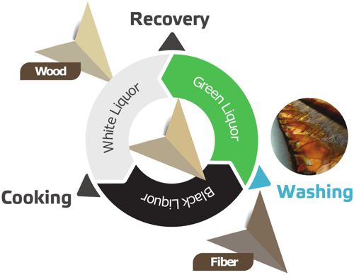 Common pulp washing fundamentals – How and why do we wash pulp?
