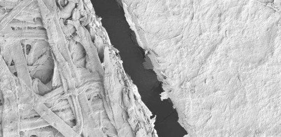 Microfibrillated Cellulose