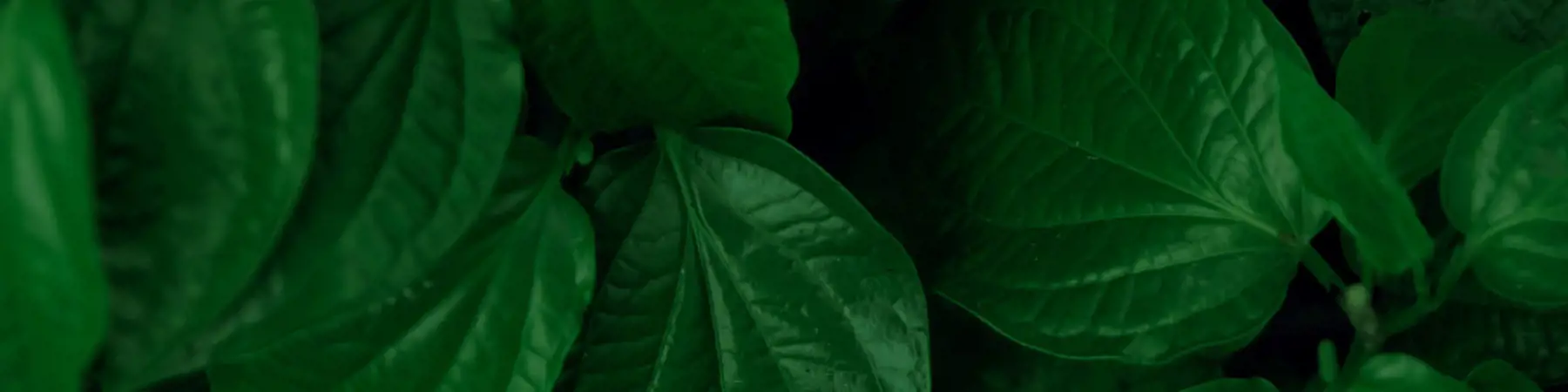 Headbox: Valmet headboxes for quality and profitability | valmet.com