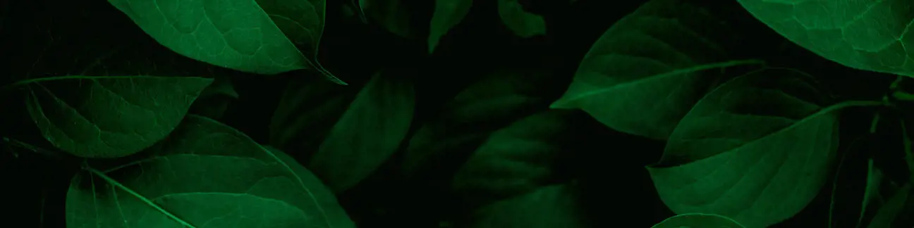 Innovative Valmet press sections with shoe press | valmet.com