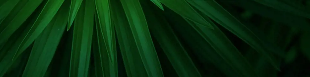 Headbox: Valmet headboxes for quality and profitability | valmet.com