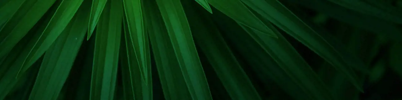 Valmet reels for improved production efficiency | valmet.com