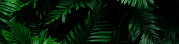 Valmet paper calendering machine for improved surface quality | valmet.com