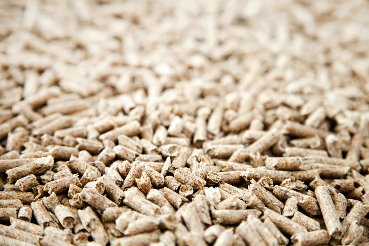 Pellet plants for green energy