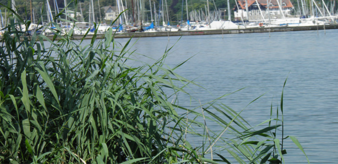 Valmet DNA in the new generation double-ended ferryage