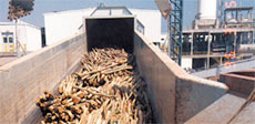 Valmet log receiving systems