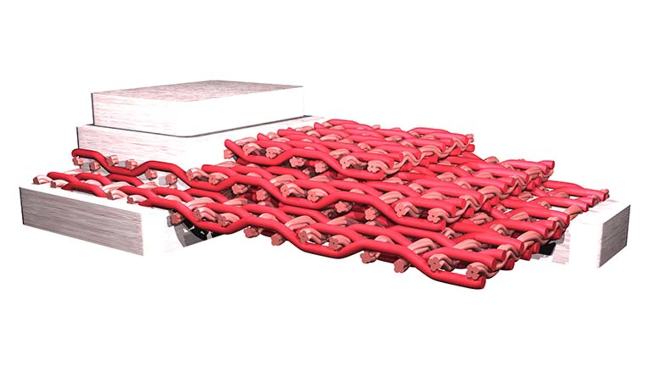 Press felts for pulp drying machines | Valmet
