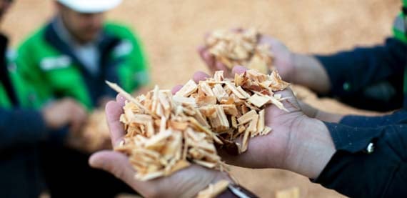 Process upgrades for wood handling | Valmet