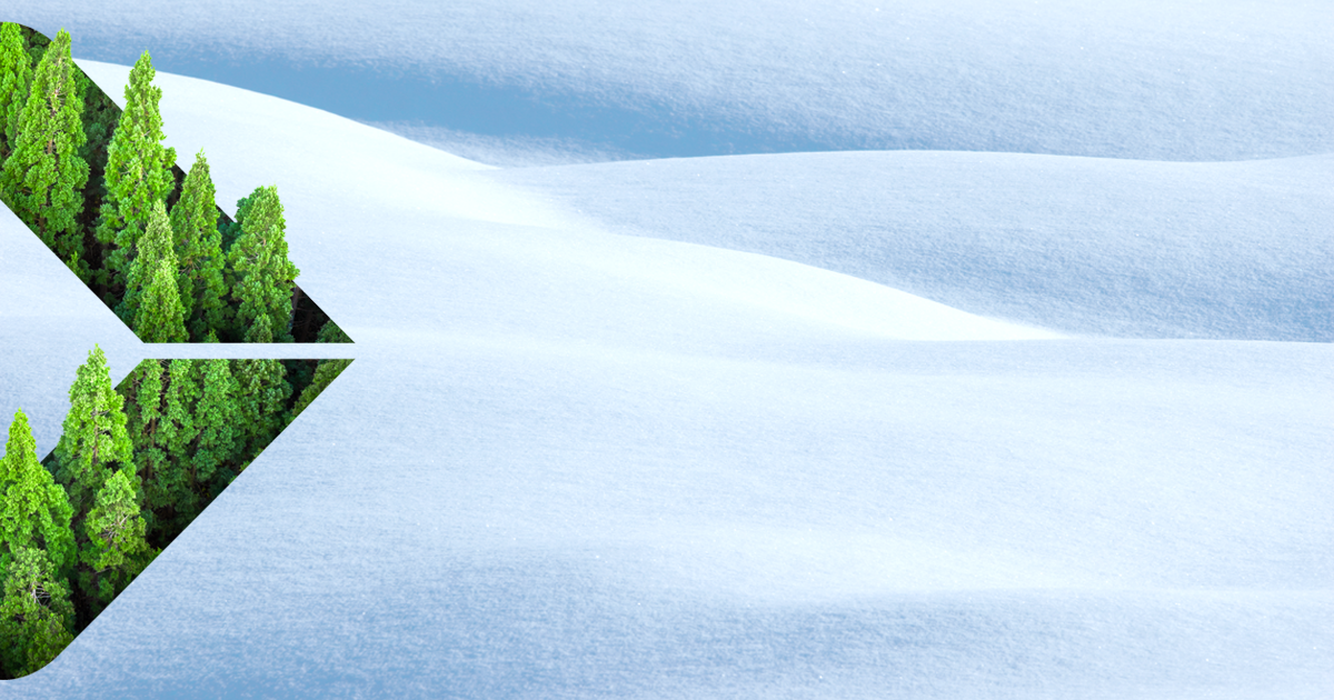 Valmet's Climate Program