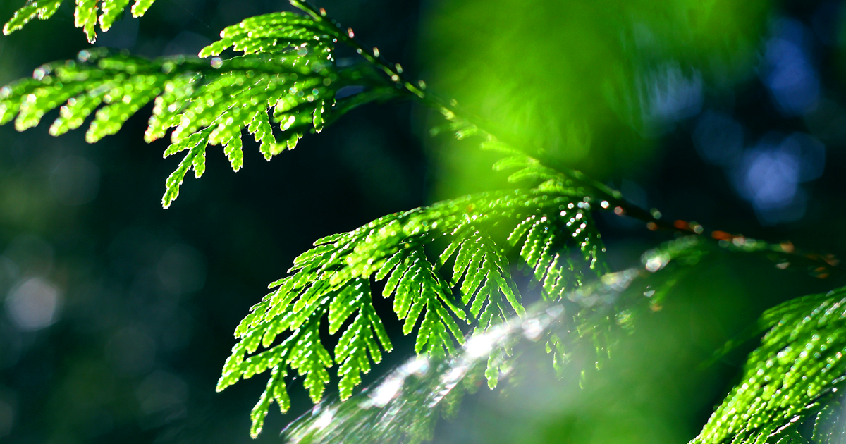 Environmental efficiency