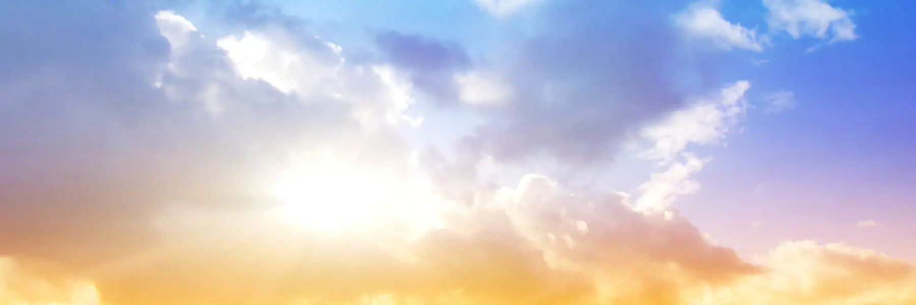 Leader in conventional dry crepe tissue production